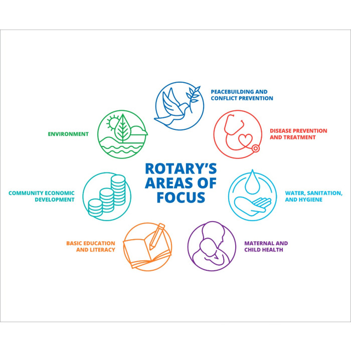 Rotary Area of Focus - Multi Circle (600mm x 500mm)